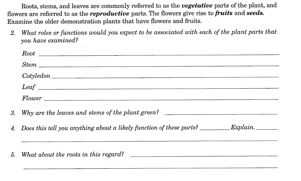 Solved Roots, stems, and leaves are commonly referred to as | Chegg.com