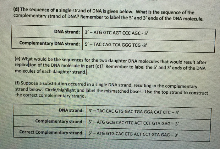 Solved The sequence of a single strand of DNA is given | Chegg.com