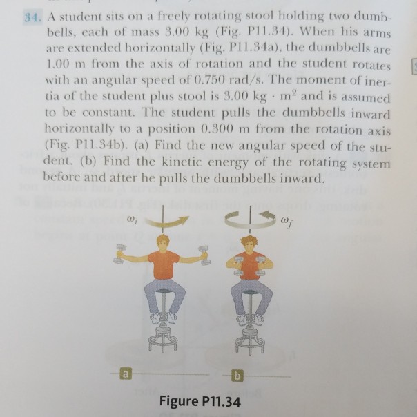 Solved 34. A student sits on a freely rotating stool holding | Chegg.com