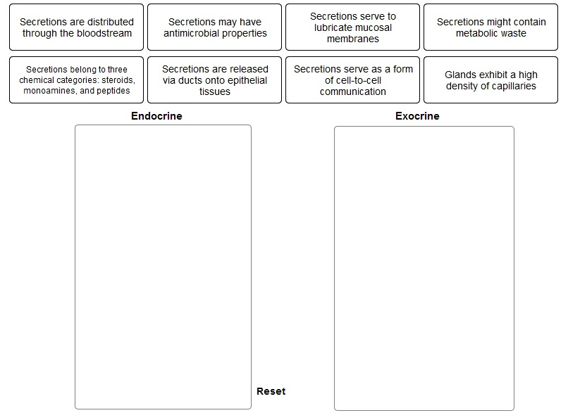 Solved Sort each description or image by whether it | Chegg.com Solved Sort each description or image by whether it | Chegg.com