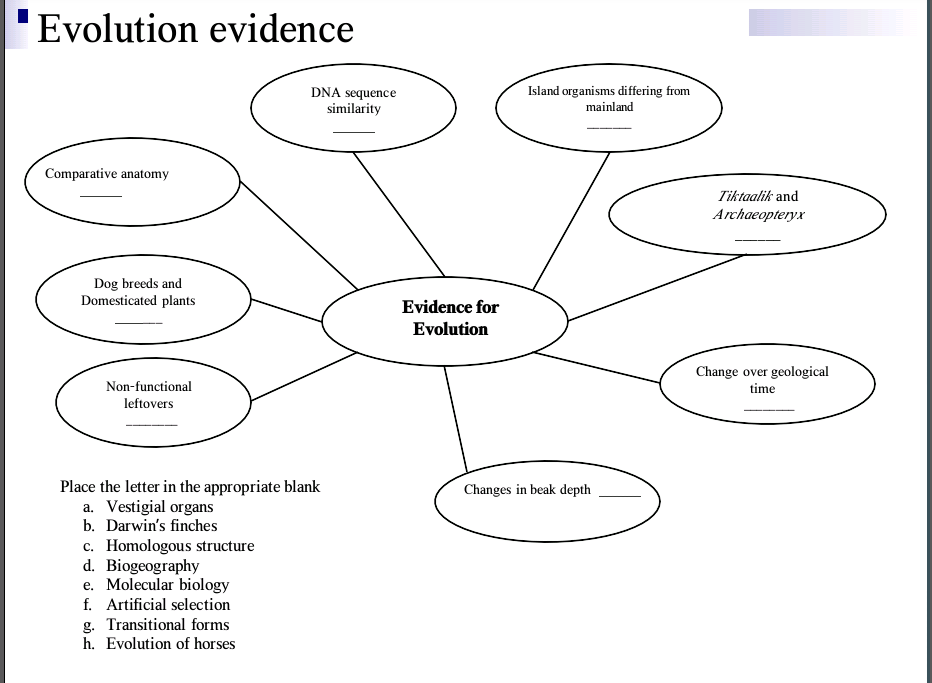 Biogeography Evidence Of Evolution