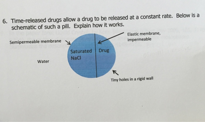 Time-released drugs allow a drug to be released at a | Chegg.com