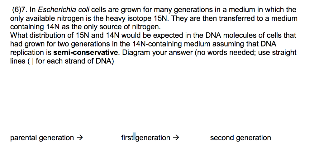 Solved In Escherichia coli cells are grown for many | Chegg.com