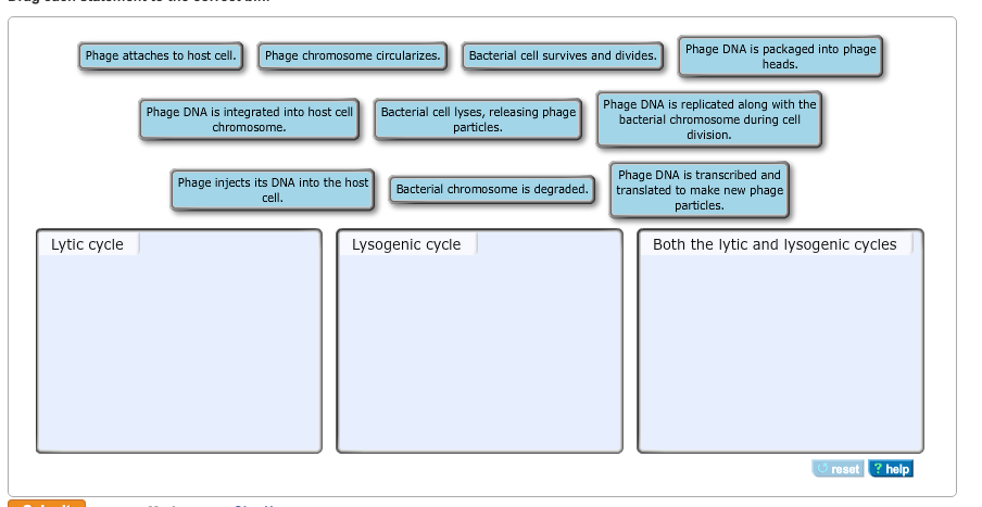 Solved Each statement below describes either the | Chegg.com