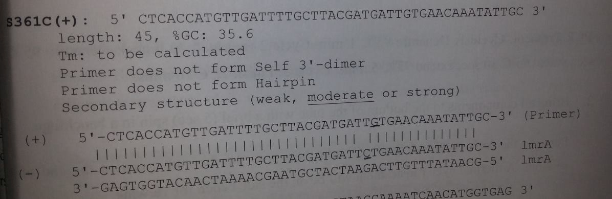 Solved S361C(+): 5' CTCACCATGTTGATTTTGCTTACGATG | Chegg.com