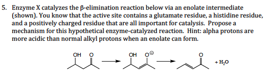 Enzyme X catalyzes the beta-elimination reaction | Chegg.com
