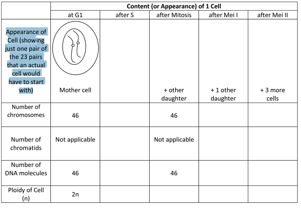 Solved Consider a human cell (2n = 46) about undergo | Chegg.com