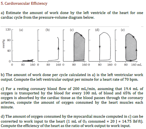 Solved 5. Cardiovascular Efficiency a) Estimate the amount | Chegg.com