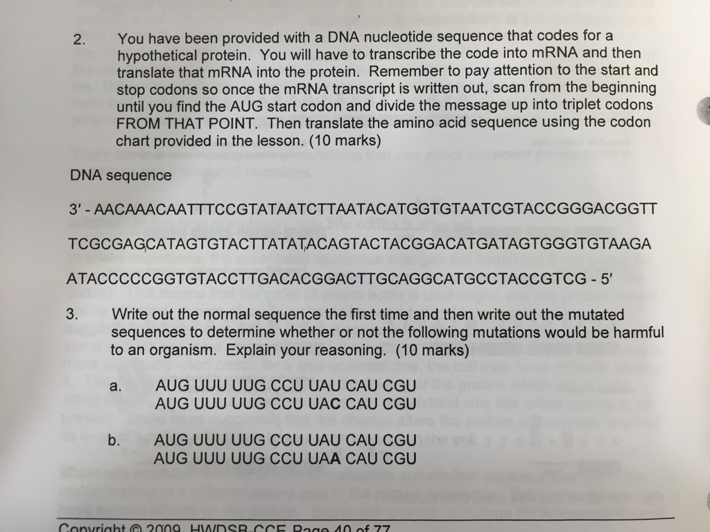 Solved You have been provided with a DNA nucleotide sequence | Chegg.com