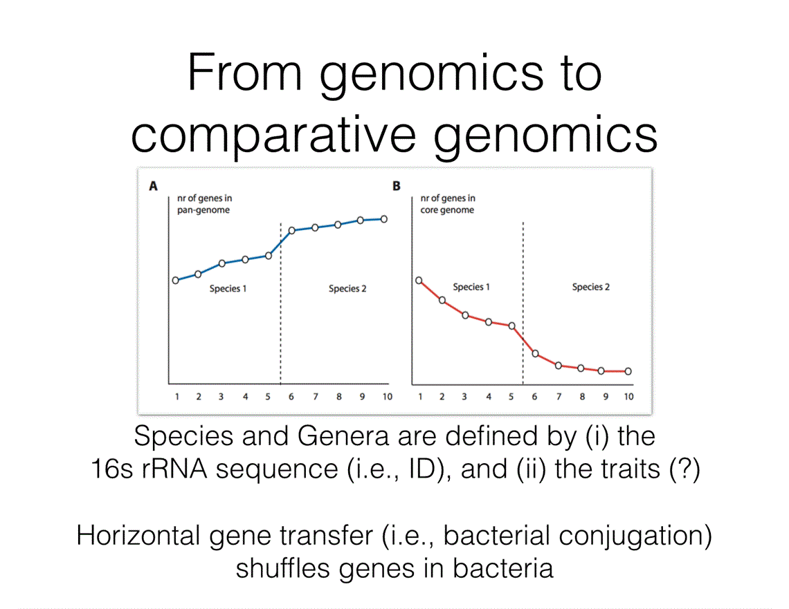 Solved From genomics to comparative genomics Species and | Chegg.com