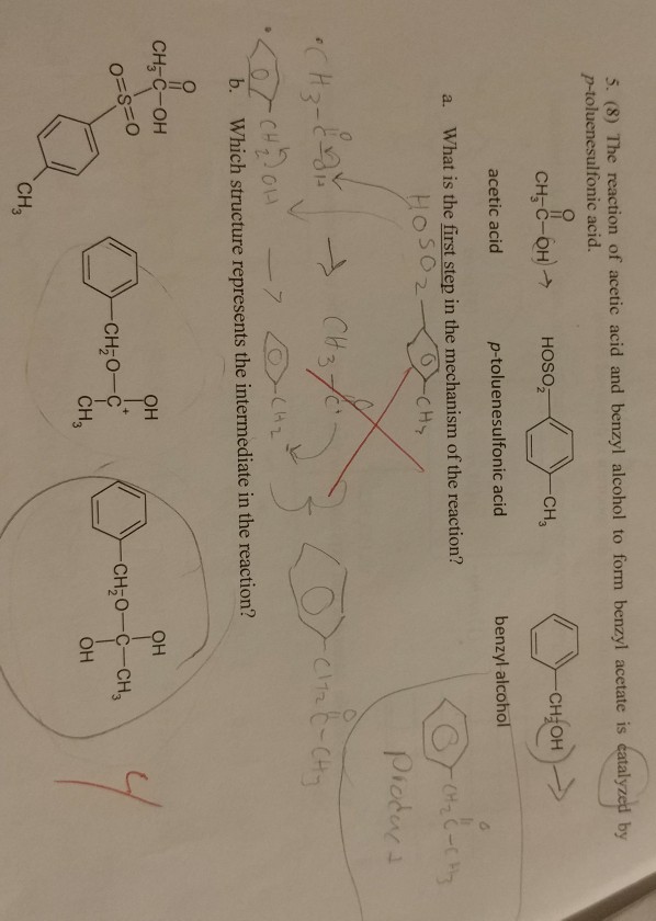 Solved The reaction of acetic acid and benzyl alcohol to | Chegg.com