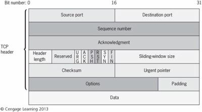 Solved . An IPv4 datagram has arrived with the following | Chegg.com