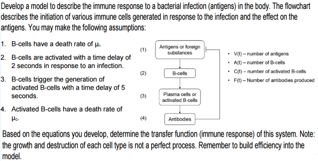 Develop a model to describe the immune response to a | Chegg.com