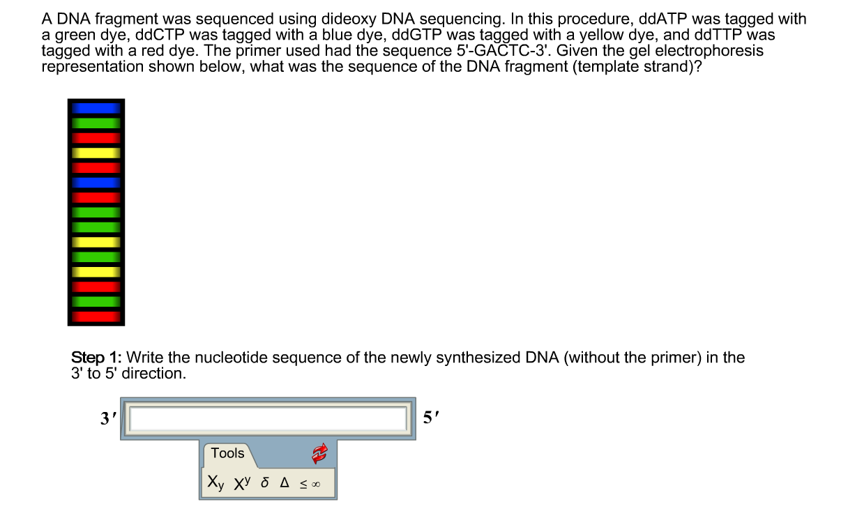 A DNA fragment was sequenced using dideoxy DNA | Chegg.com