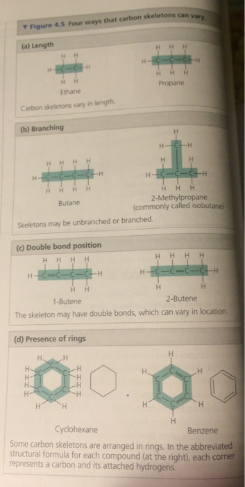 Solved Carbon skeleton. Refer to Fig4.3 and 4.5. Draw a | Chegg.com