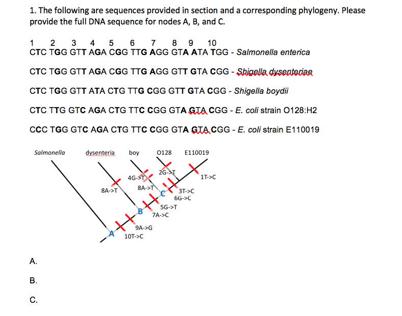 Solved 1. The following are sequences provided in section | Chegg.com
