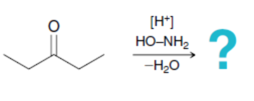 Solved [H+] HOO-NH2 H2O | Chegg.com