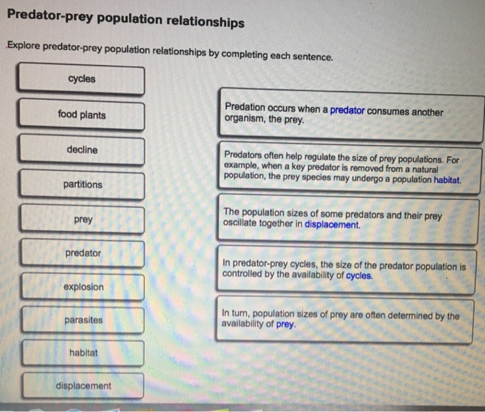 Solved Explore predator-prey population relationships by | Chegg.com