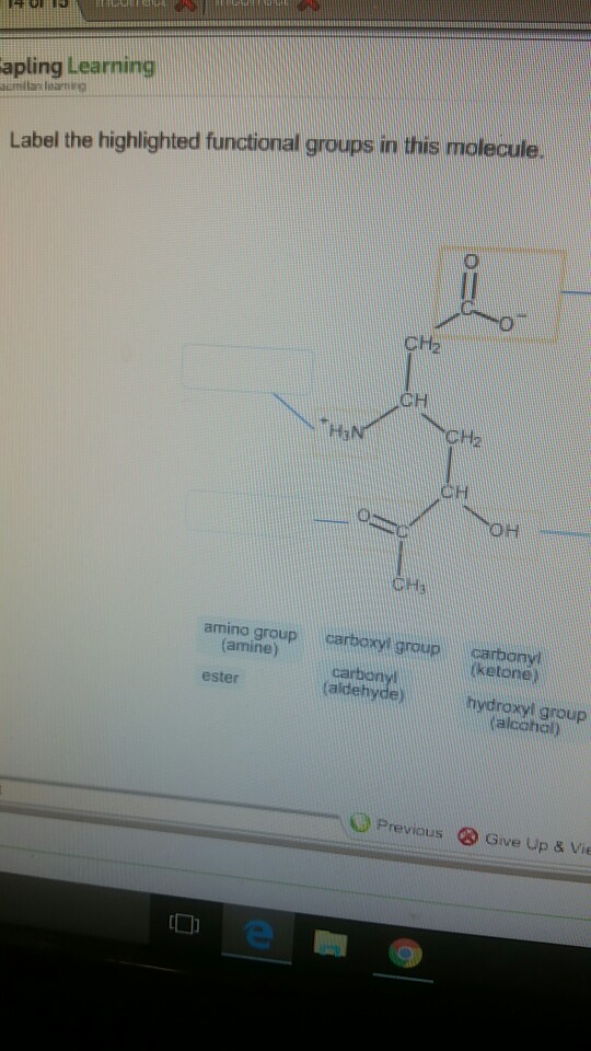 Solved apling Learning Label the highlighted functional | Chegg.com
