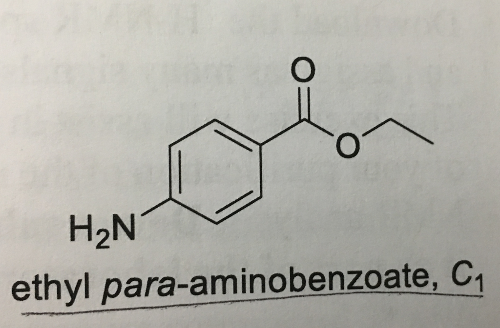 Ethyl 4 Aminobenzoate Structure