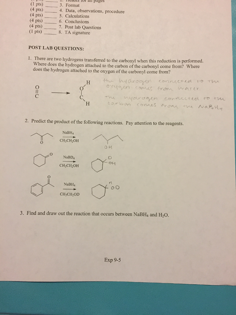 Solved I need help with these questions, thank you in | Chegg.com