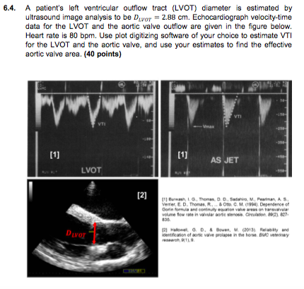 6.4. A patient's left ventricular outflow tract | Chegg.com