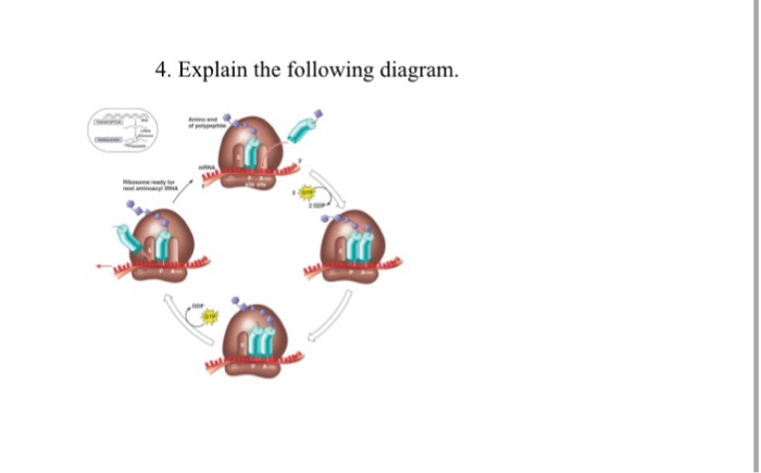 Solved 4. Explain the following diagram | Chegg.com