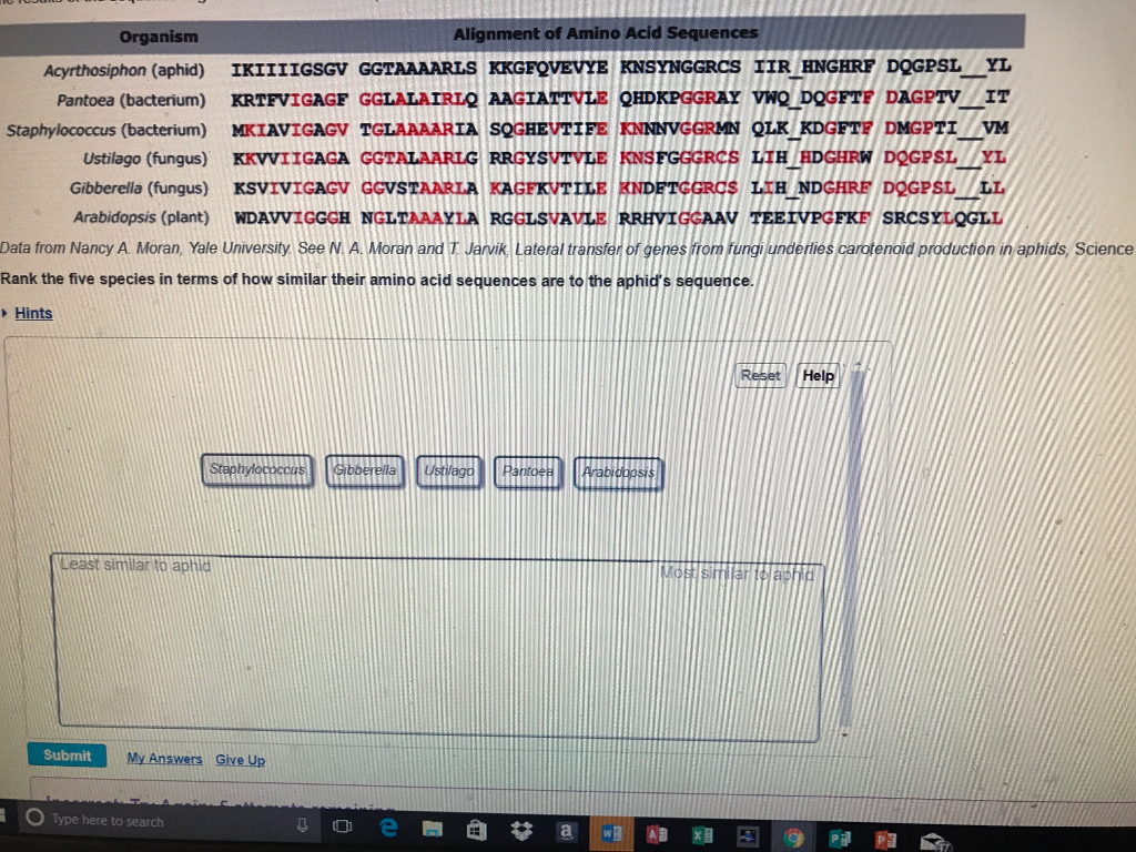 Solved he results of the sequence alignment are shown below, | Chegg.com