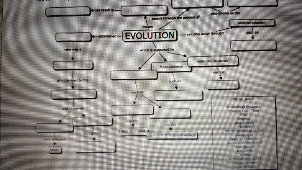 Solved Create a Concept. Map Concept maps can be an | Chegg.com