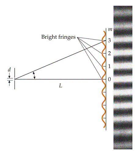 Solved In the above figure, the two narrows slits are 2 mm | Chegg.com