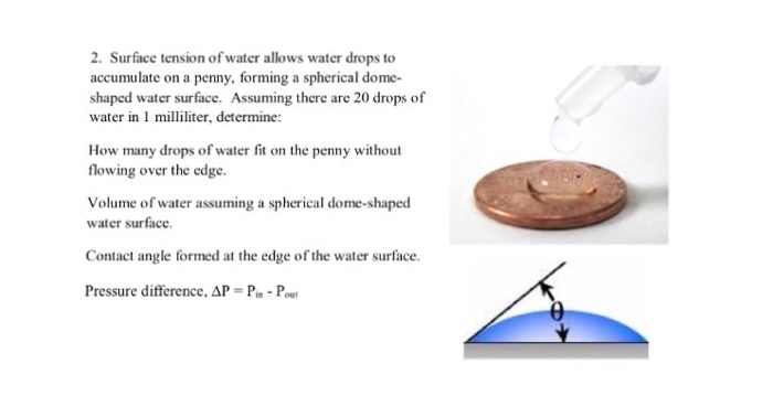 Solved 2. Surface tension of water allows water drops to | Chegg.com