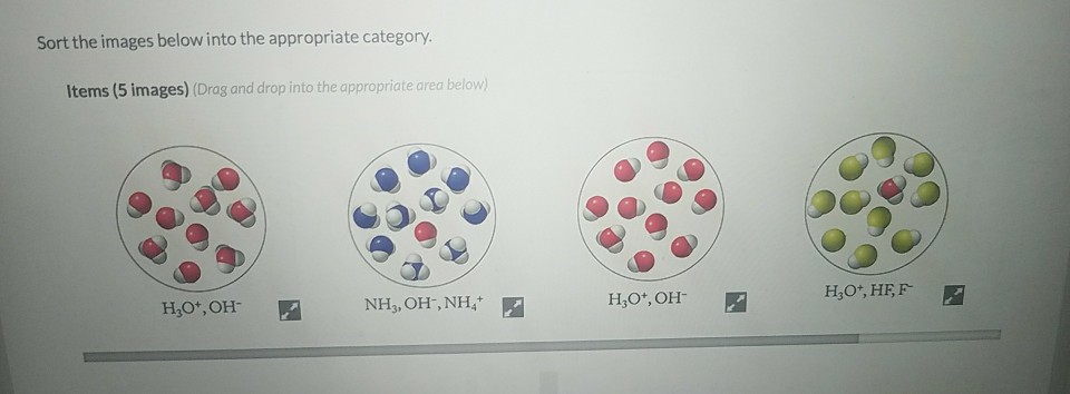 Sort the images below into the appropriate category | Chegg.com