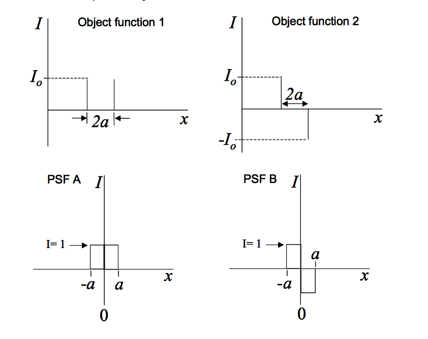 The one dimensional objects represented by the | Chegg.com