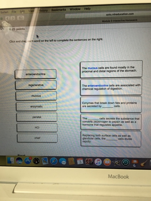 Solved Click and drag each word on the left to complete the | Chegg.com