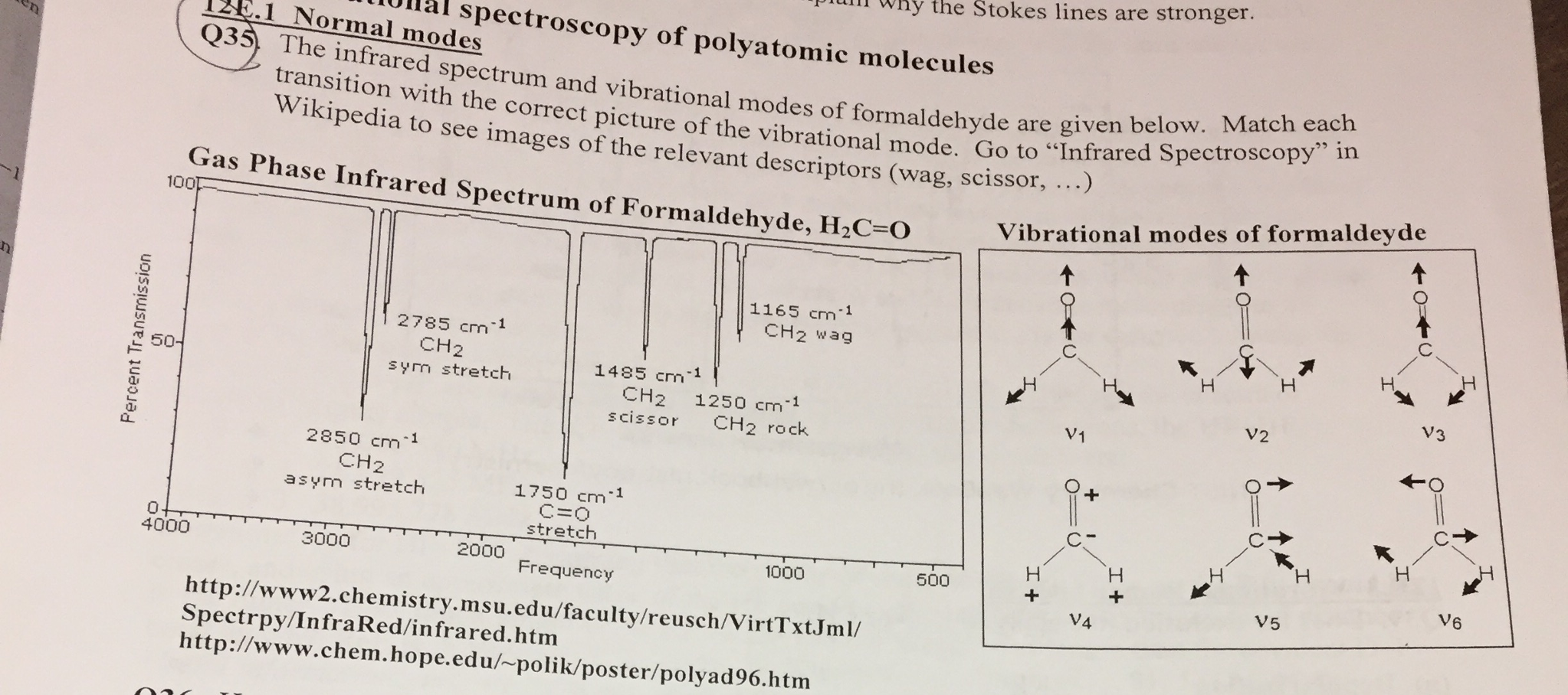 Solved The infrared spectrum and vibrational modes of | Chegg.com