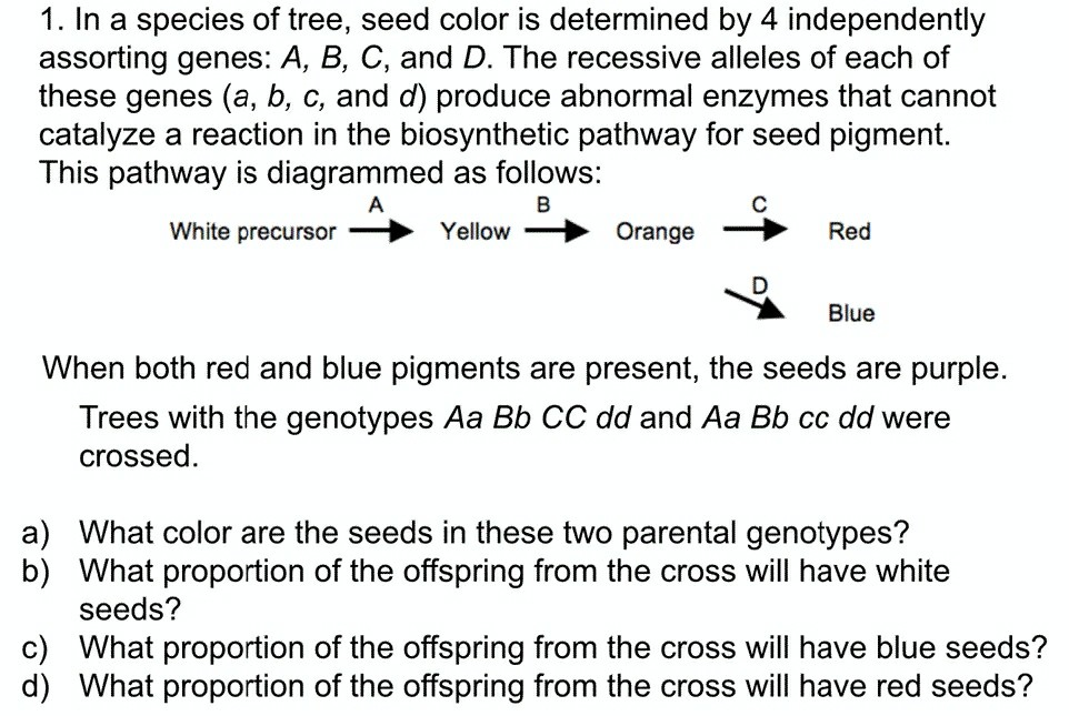 Solved 1. In a species of tree, seed color is determined by | Chegg.com