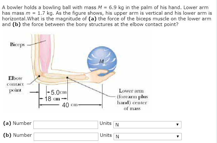 Solved A bowler holds a bowling ball with mass M-6.9 kg in | Chegg.com