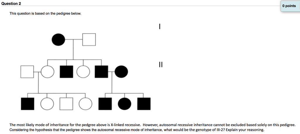 Solved Question 1 0 points This question is based on the | Chegg.com