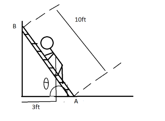 Solved A man Stands on the ladder in the posistion shown. | Chegg.com