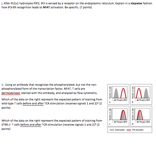 Solved i. After PLCy1 hydrolyzes PIP2, IP3 is sensed by a | Chegg.com
