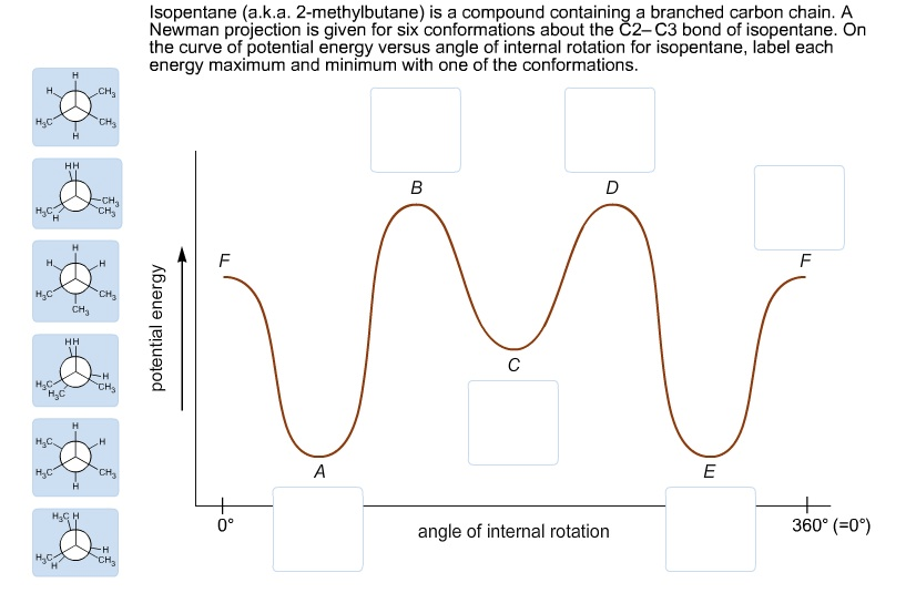 Solved Isopentane (a.k.a. 2-methylbutane) is a compound | Chegg.com