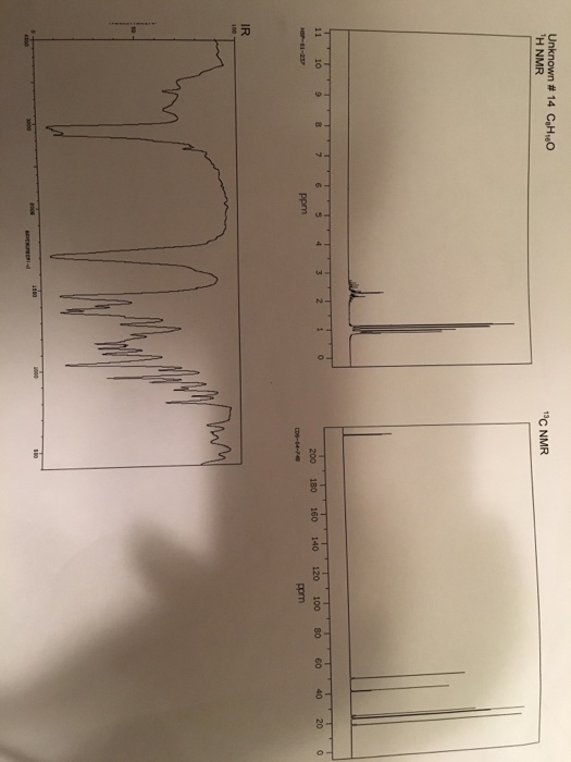 Solved What is the proposed structure Label carbons and | Chegg.com