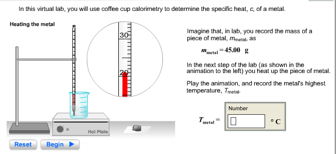 In this virtual lab, you will use coffee cup | Chegg.com