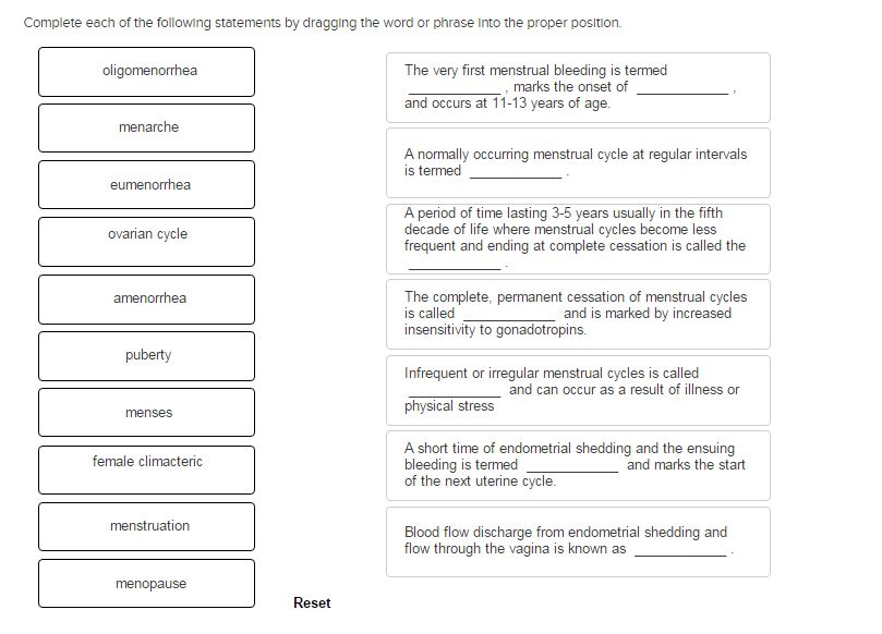 Solved Complete each of the following statements by dragging | Chegg.com