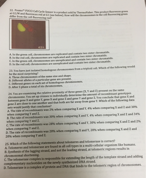 Solved Premo^TM FUCCI Cell Cycle Sensor is a product sold by | Chegg.com