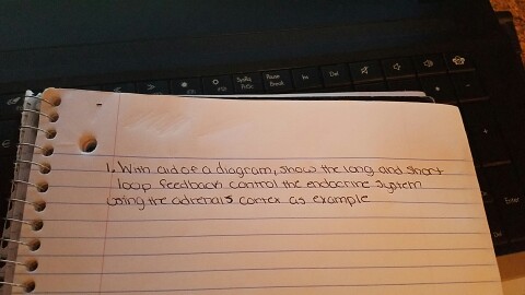 Solved With end of a diagram, show the long and short loop | Chegg.com