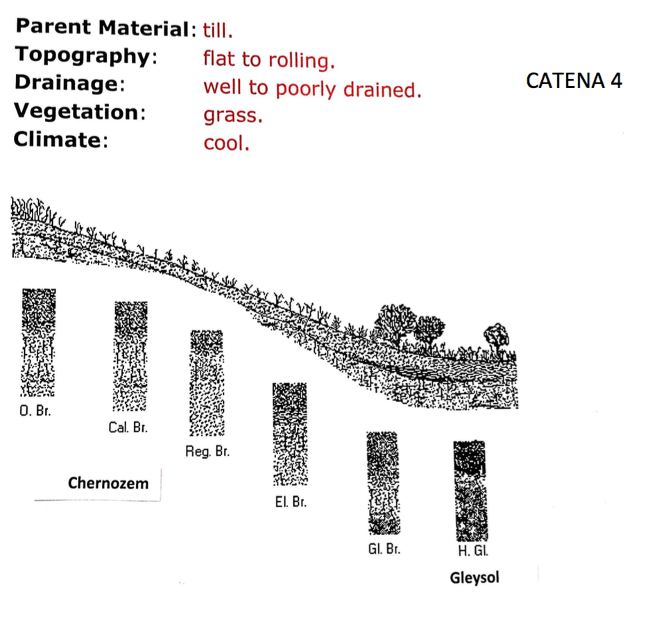 Solved Study the environmental soil forming factors and soil | Chegg.com