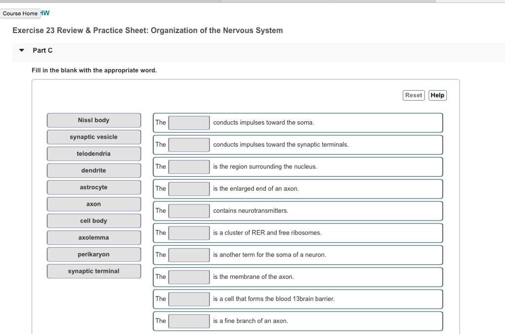 Solved Course Home Exercise 23 Review & Practice Sheet: | Chegg.com