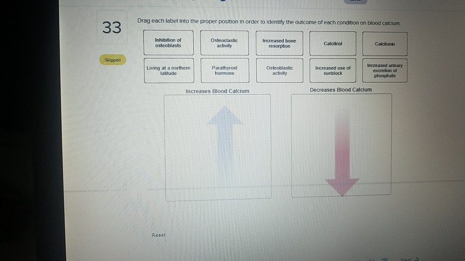 Solved Drag each label into the proper position In order to | Chegg.com