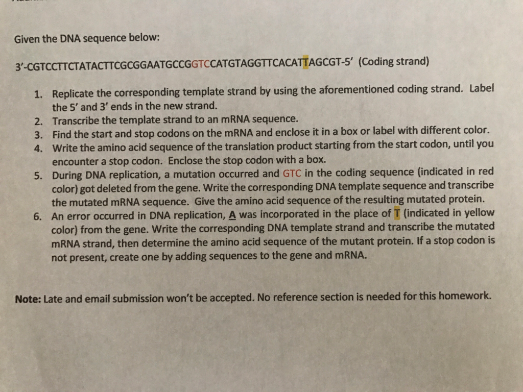 Solved Given the DNA sequence below: | Chegg.com